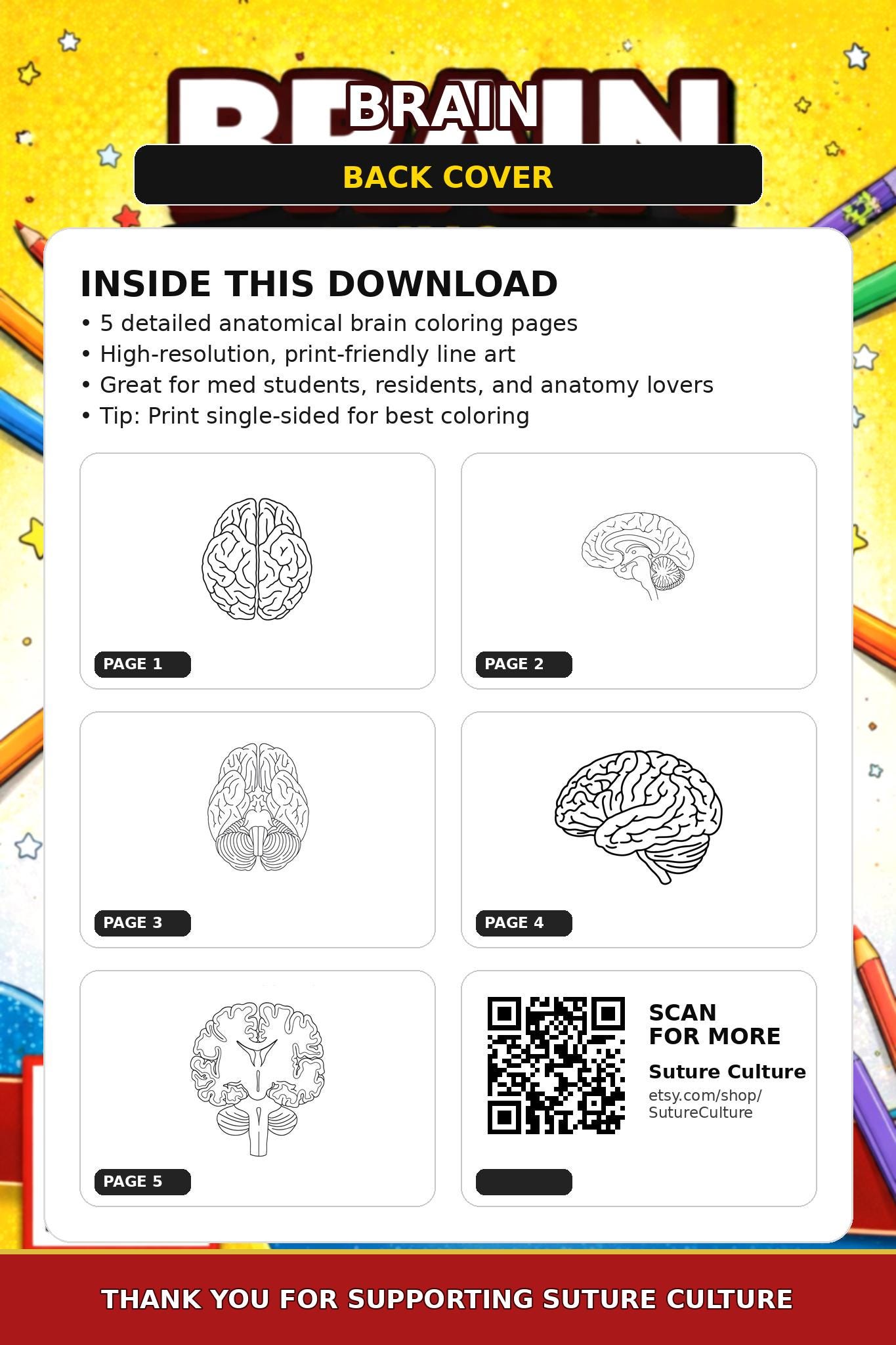Brain Anatomy Coloring Pages – Neuro Study Sheets (digital Download) - Etsy