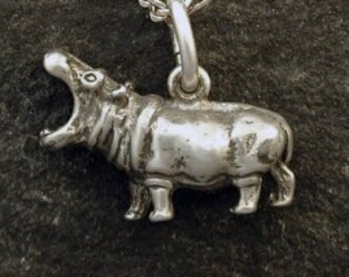 Sterling Silver Hippopotomus Hippo Pendant on a Sterling Silver Chain ...