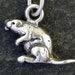 Sterling Silver Beaver Pendant on a Sterling Silver Chain. - Etsy