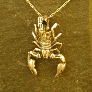14K Gold Scorpio Pendant on a 14K Chain Chain - Etsy