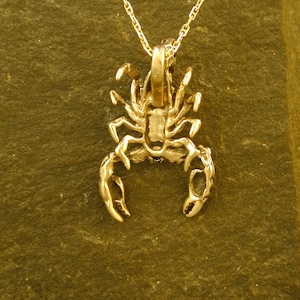 14K Gold Scorpio Pendant on a 14K Chain Chain - Etsy