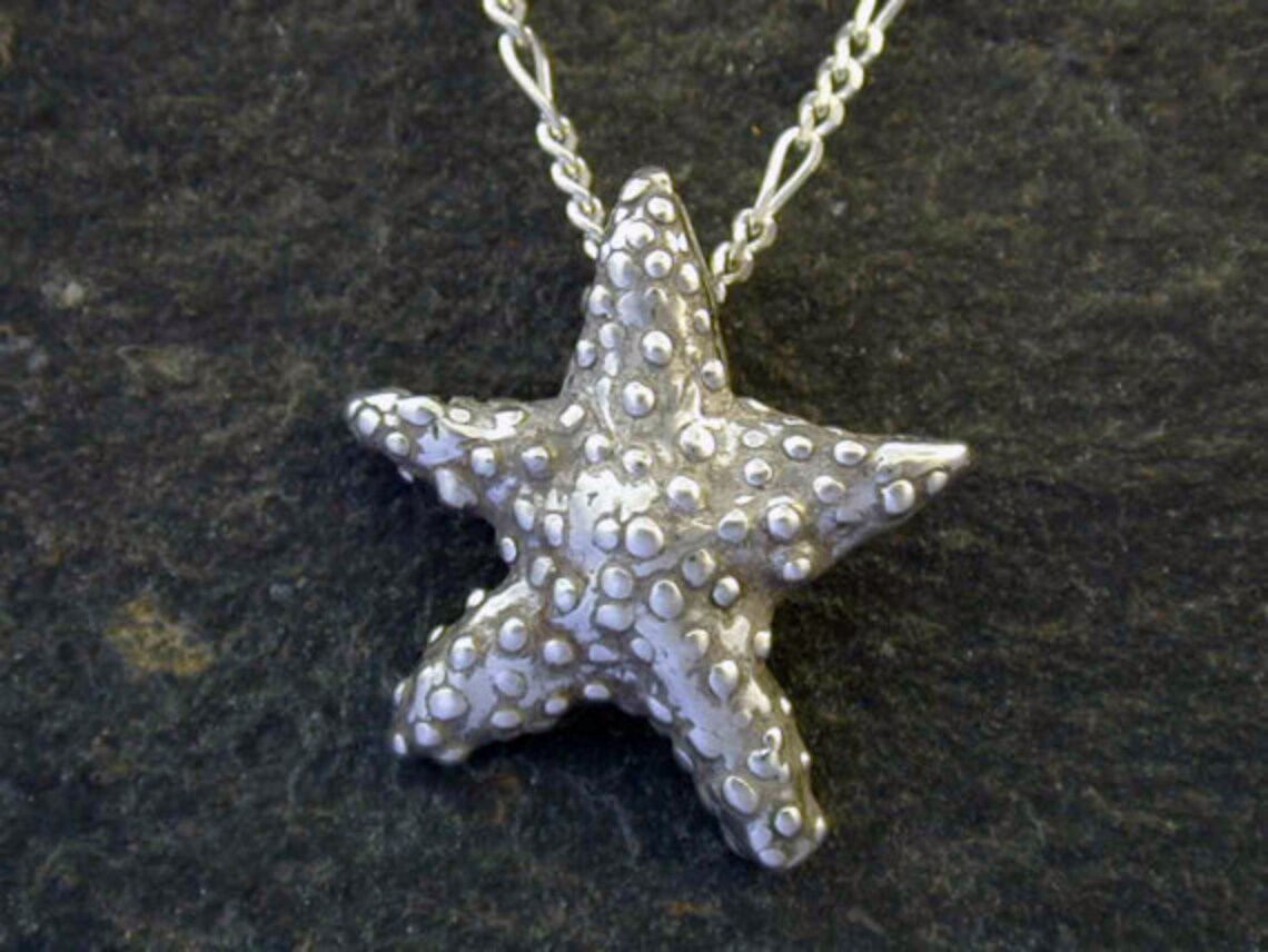 Sterling Silver Original Sea Star Pendant on a Sterling Silver Chain ...