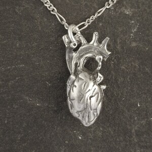 Sterling Silver Human Heart Pendant on a Sterling Silver Chain. - Etsy
