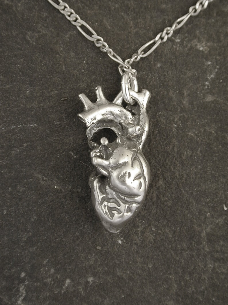 Sterling Silver Human Heart Pendant on a Sterling Silver | Etsy