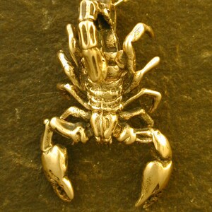 14K Gold Scorpio Pendant on a 14K Chain Chain - Etsy