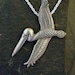 Sterling Silver Large Flying Pelican on a Sterling Silver Chain - Etsy