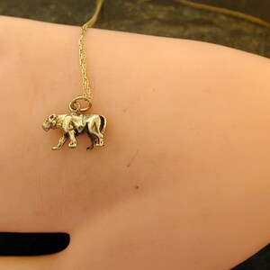 14K Gold Cougar, Catamount, Puma, Panther, Mountain Lion Pendant on ...