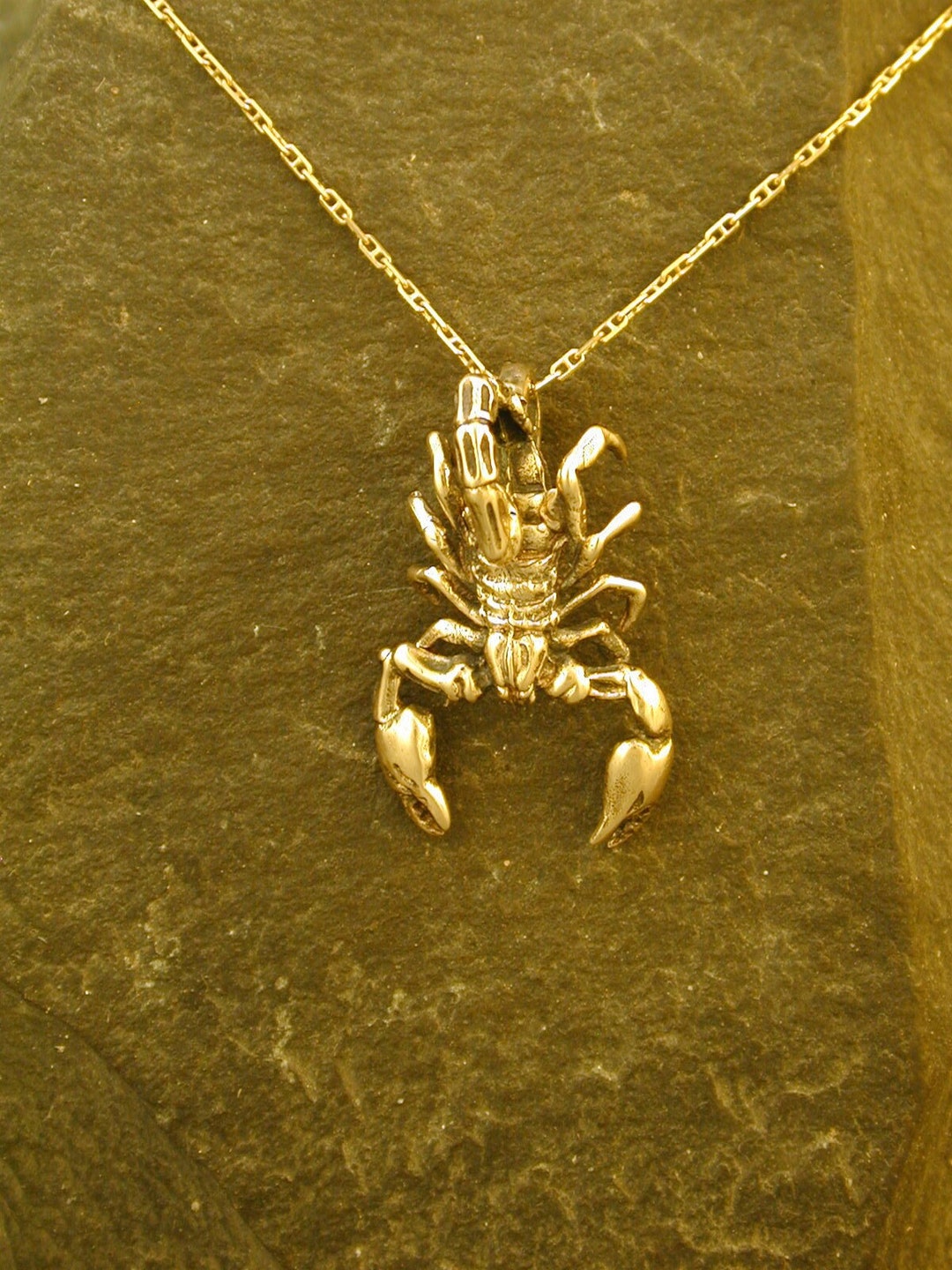 14K Gold Scorpio Pendant on a 14K Chain Chain - Etsy
