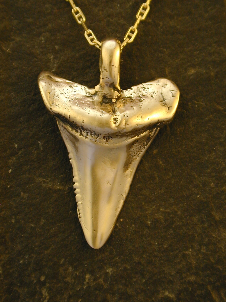 14K Gold Shark Tooth Pendant on a 14K Gold Chain - Etsy