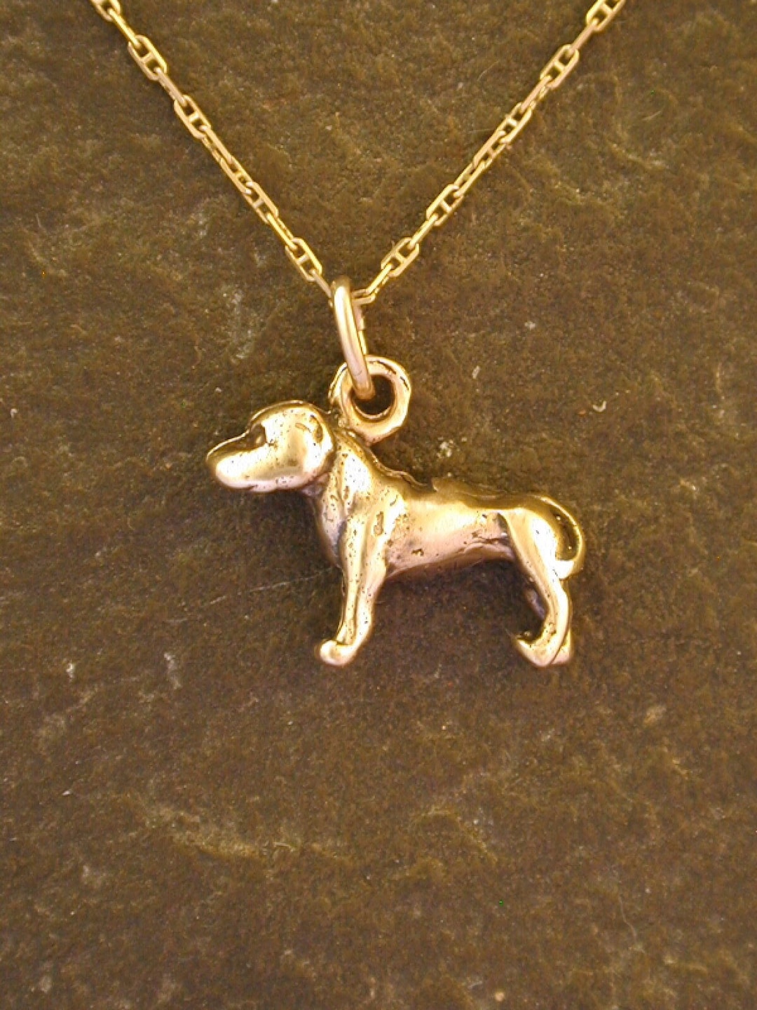 14K Gold Pit Bull Pendant on a 14K Gold Chain - Etsy