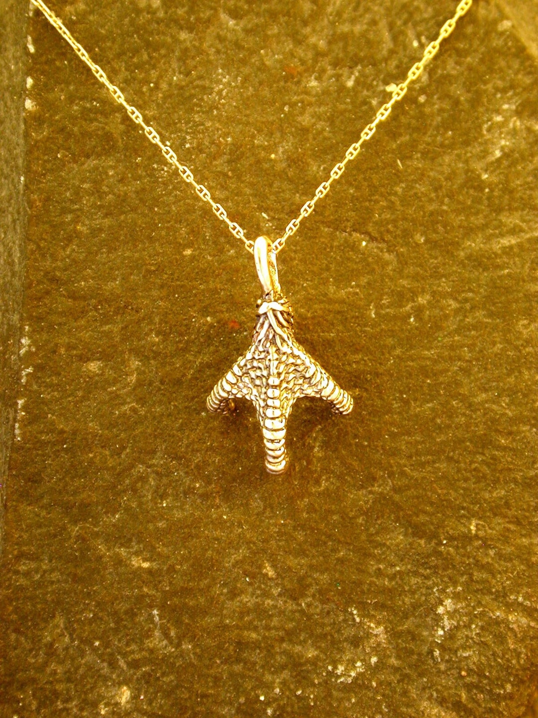 14K Gold Talon Pendant on a 14K Gold Chain. - Etsy