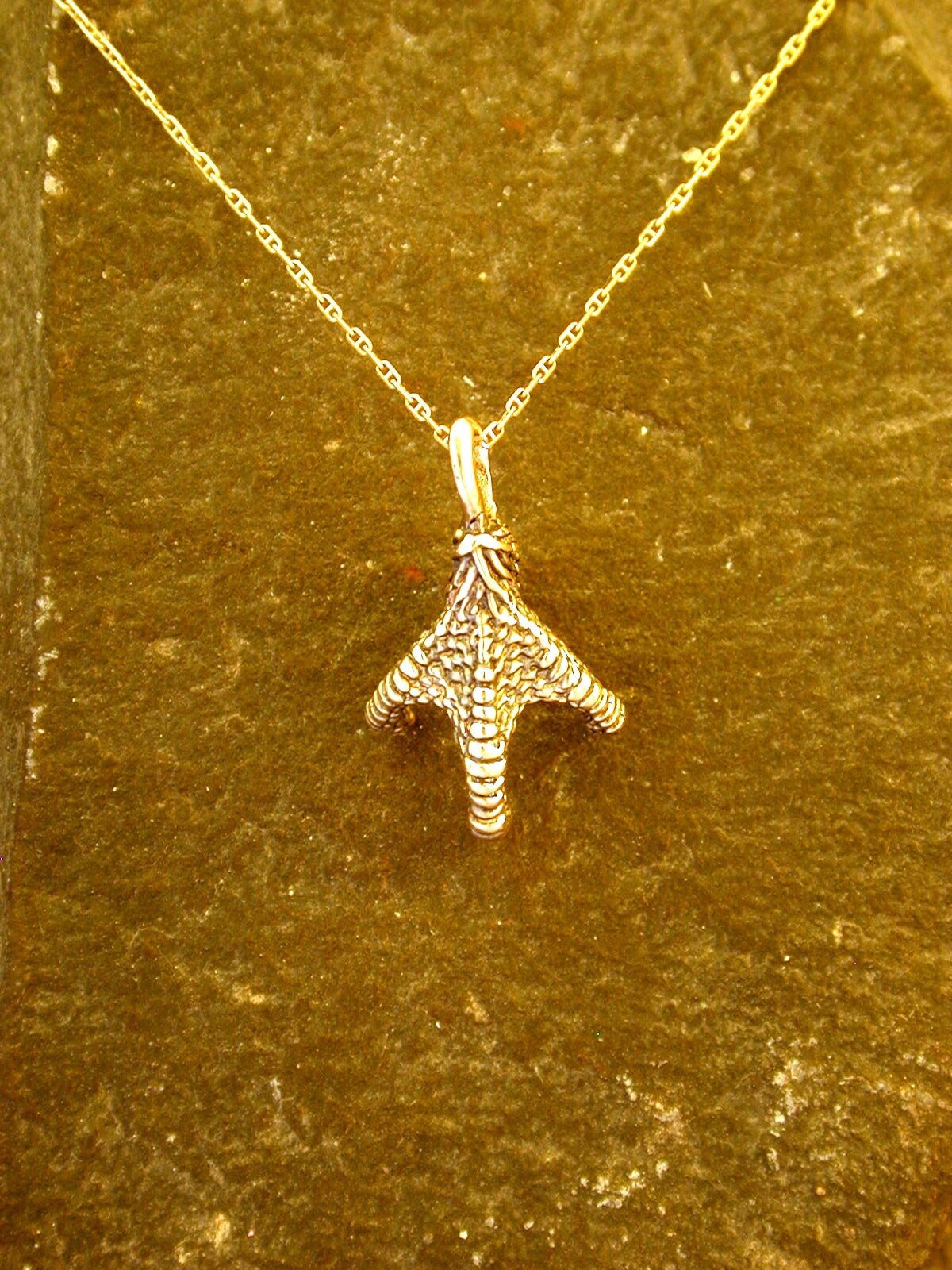 14K Gold Talon Pendant on a 14K Gold Chain. - Etsy
