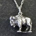 Sterling Silver American Buffalo Bison Pendant on a Sterling Silver ...