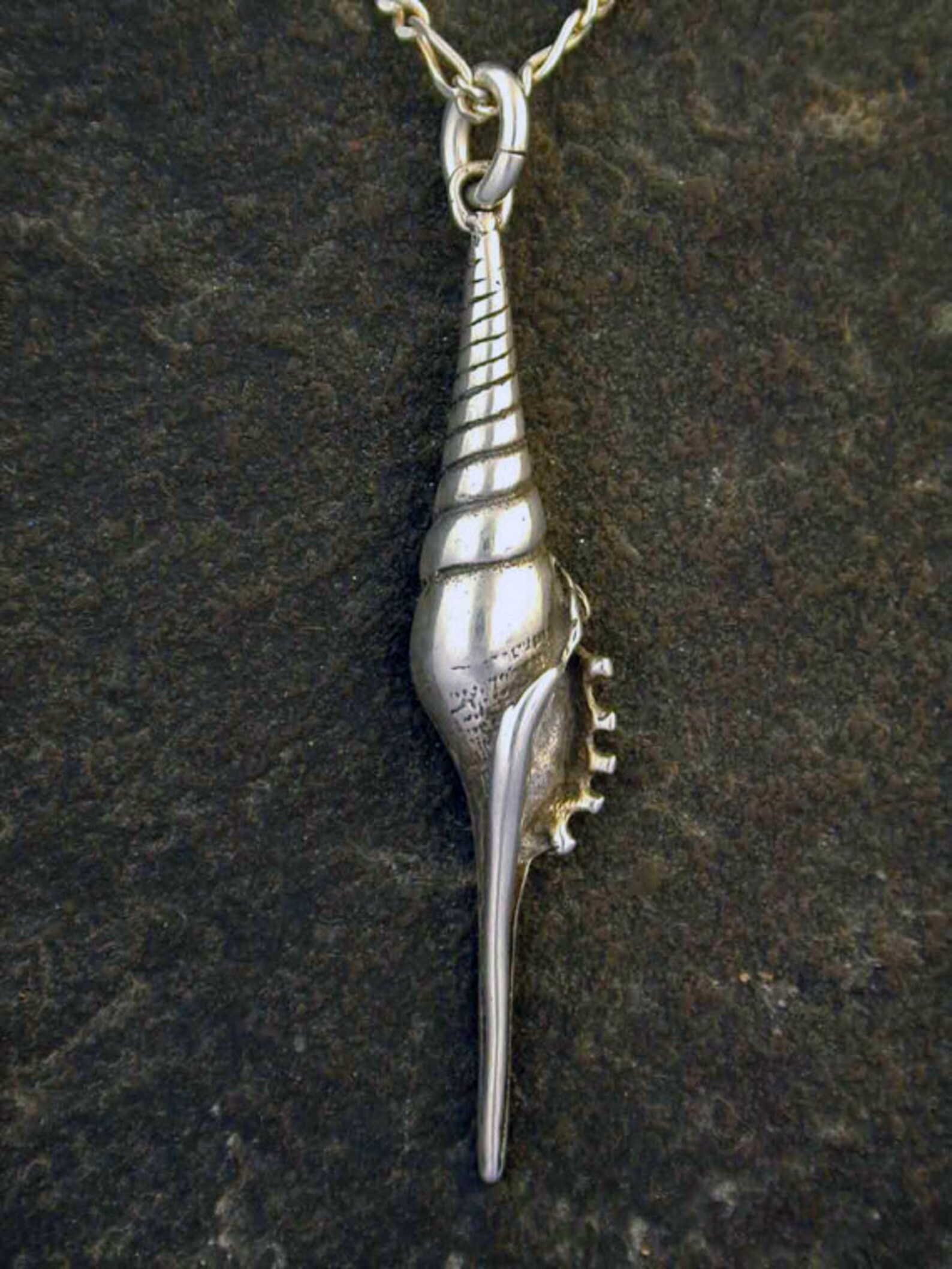 Sterling Silver Tibia Martinis Sea Shell Pendant on a Sterling | Etsy