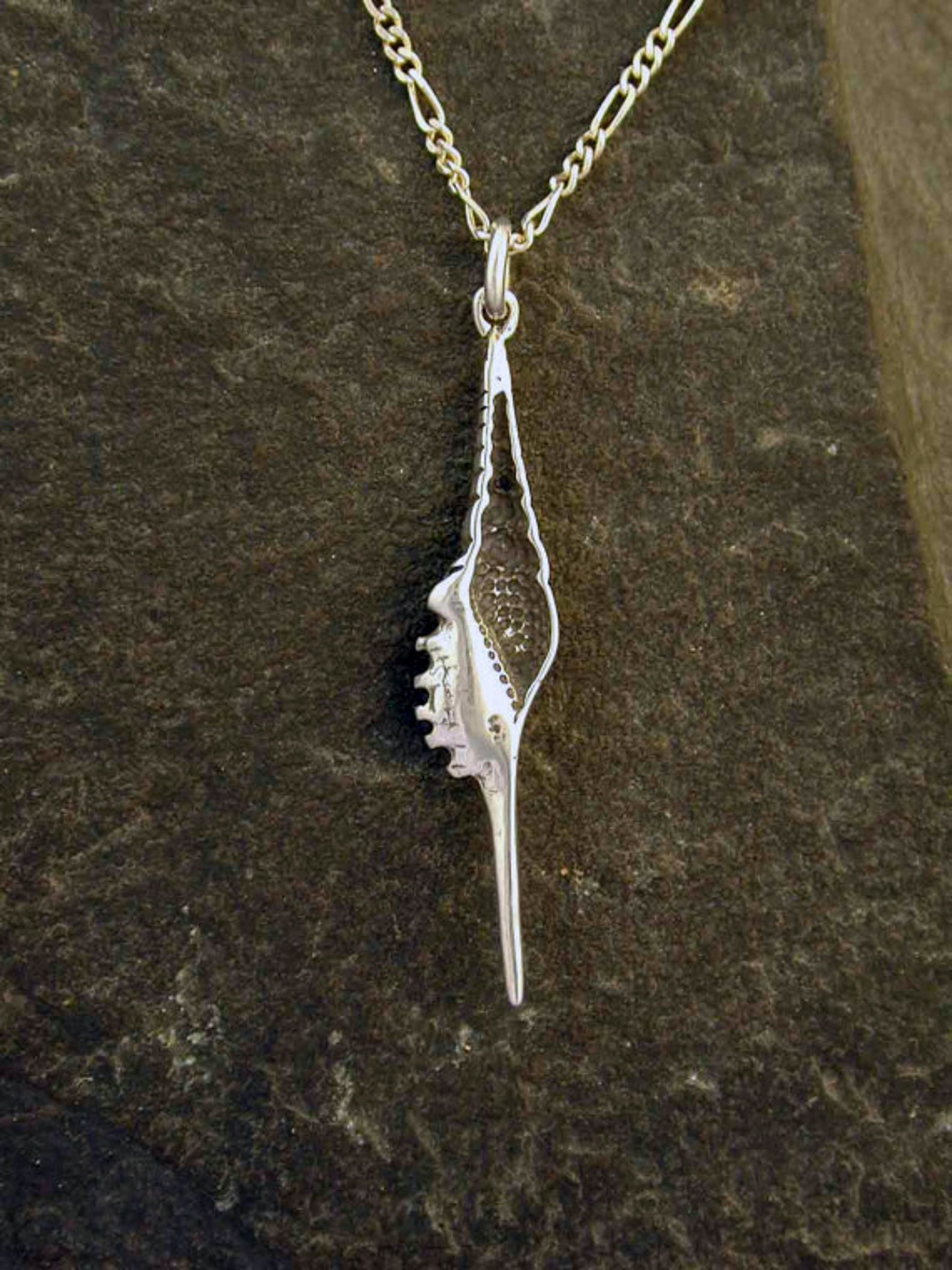 Sterling Silver Tibia Martinis Sea Shell Pendant on a Sterling | Etsy