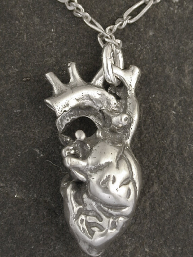 Sterling Silver Human Heart Pendant on a Sterling Silver Chain. - Etsy