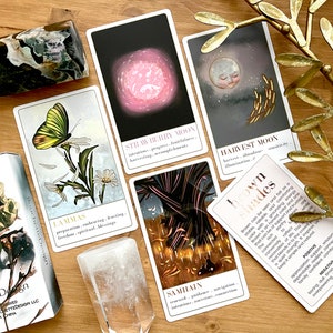 Wanderlust Collection Oracle Deck, Moon Oracle Sabbats of the Year ...