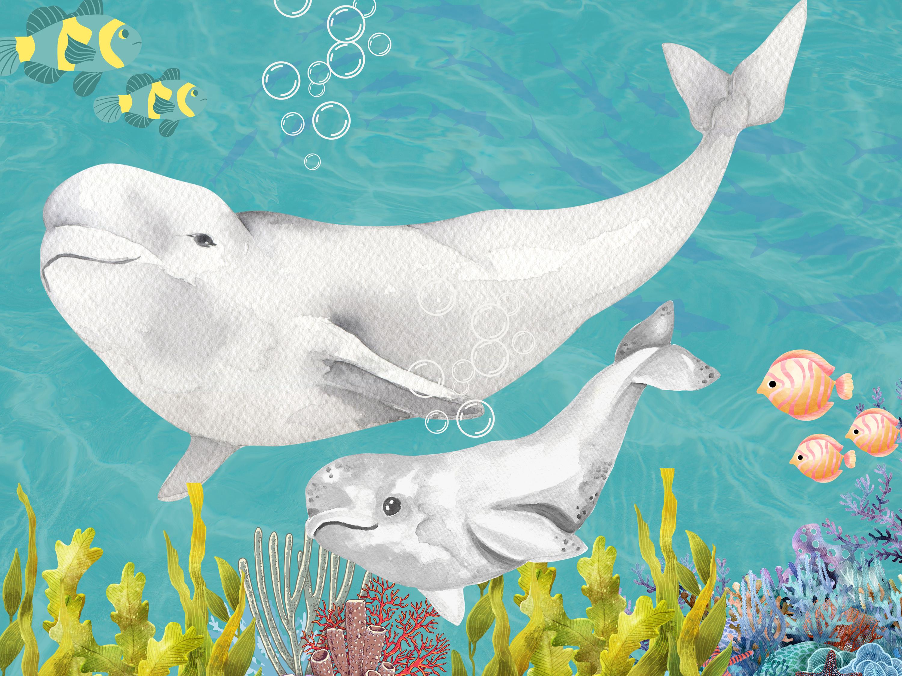 Beluga Whale Mom & Baby Print | Underwater Nursery Art | Ocean Wall ...