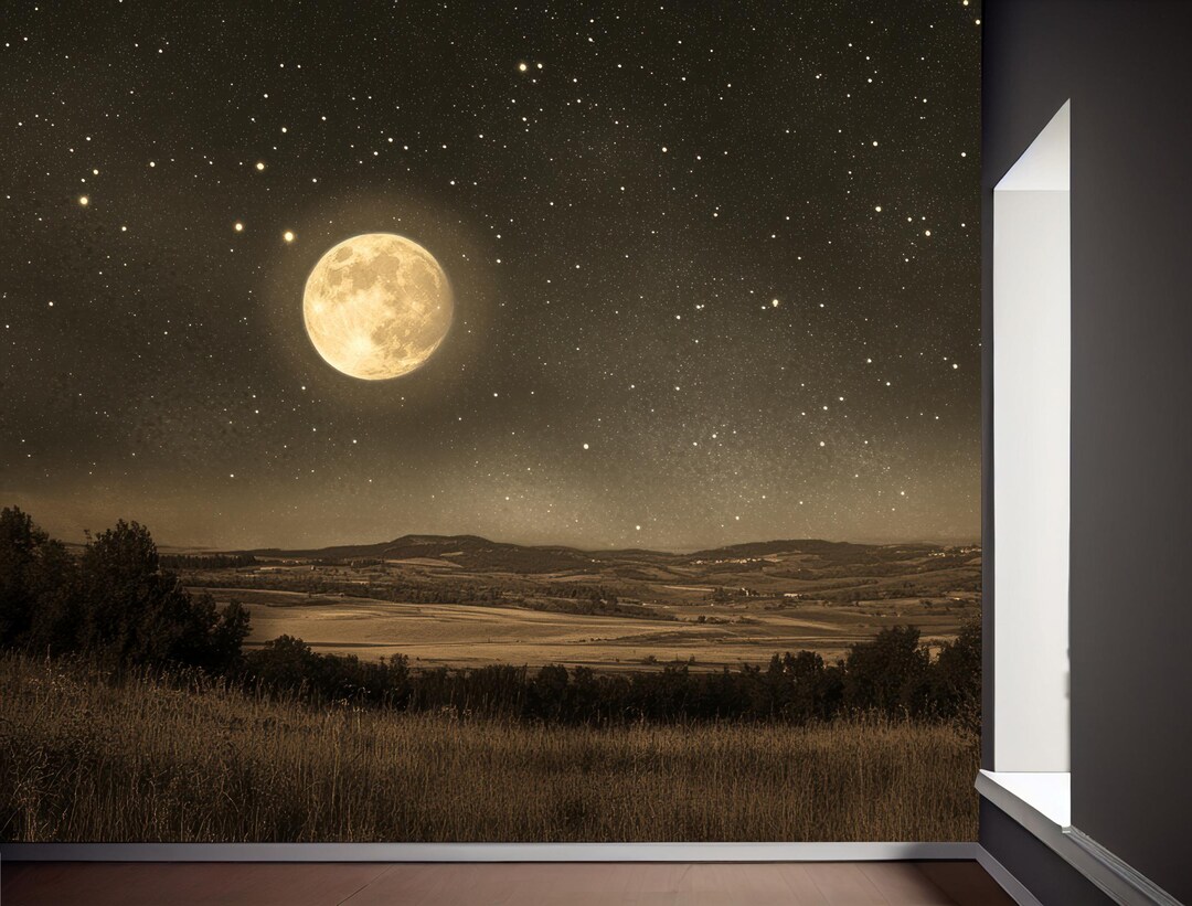 Full Moon Window View Wallpaper | Night Landscape Wall Decor - Etsy