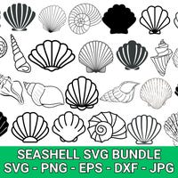 Seashell SVG Bundle: Clipart, Cut Files, Silhouette (PNG) - Etsy