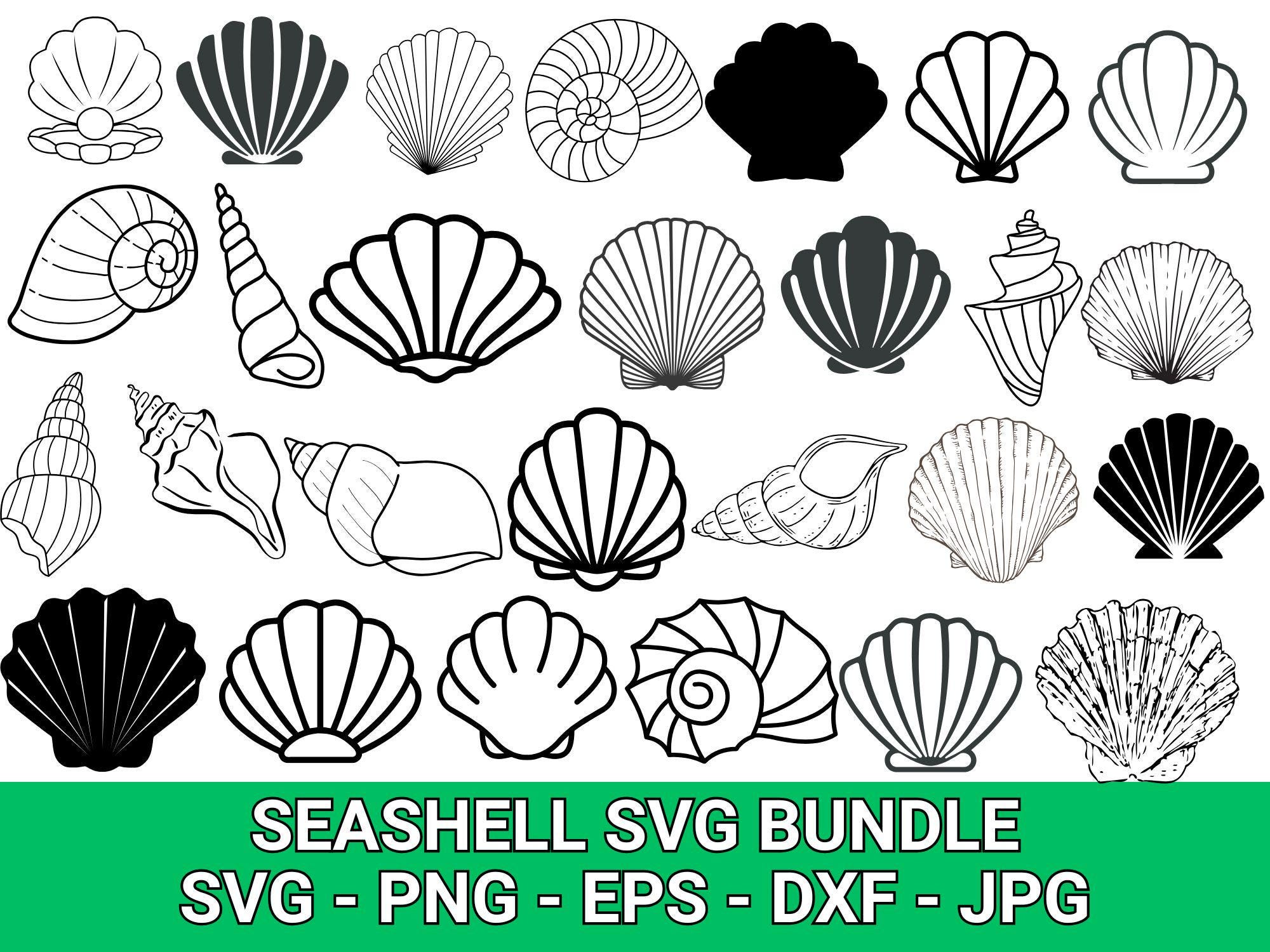 Seashell SVG Bundle: Clipart, Cut Files for Cricut (digital Download - Etsy