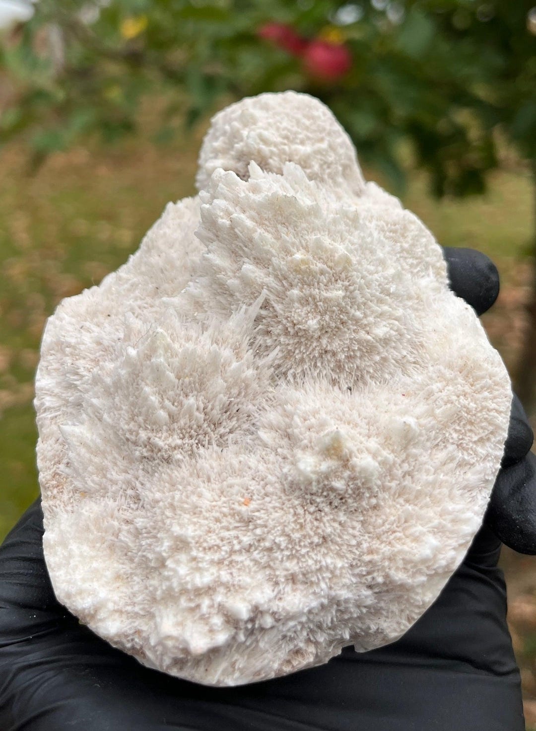 Large Rare Scolecite Specimen | Natural Zeolite Crystal | Unique Spiky ...