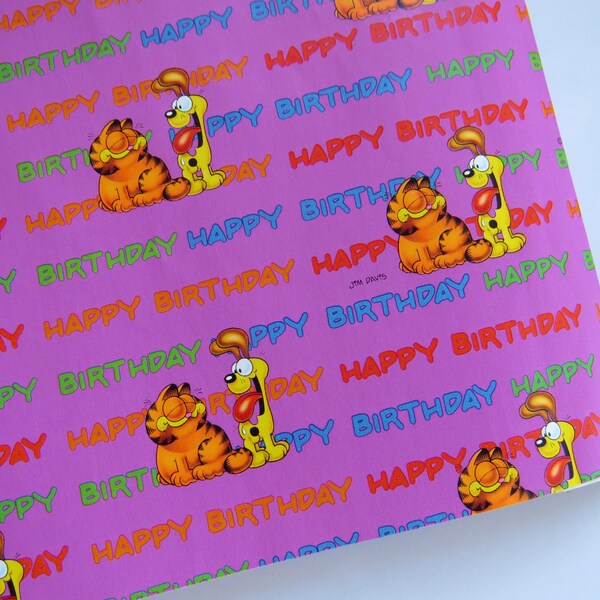 Garfield Birthday Party - Etsy