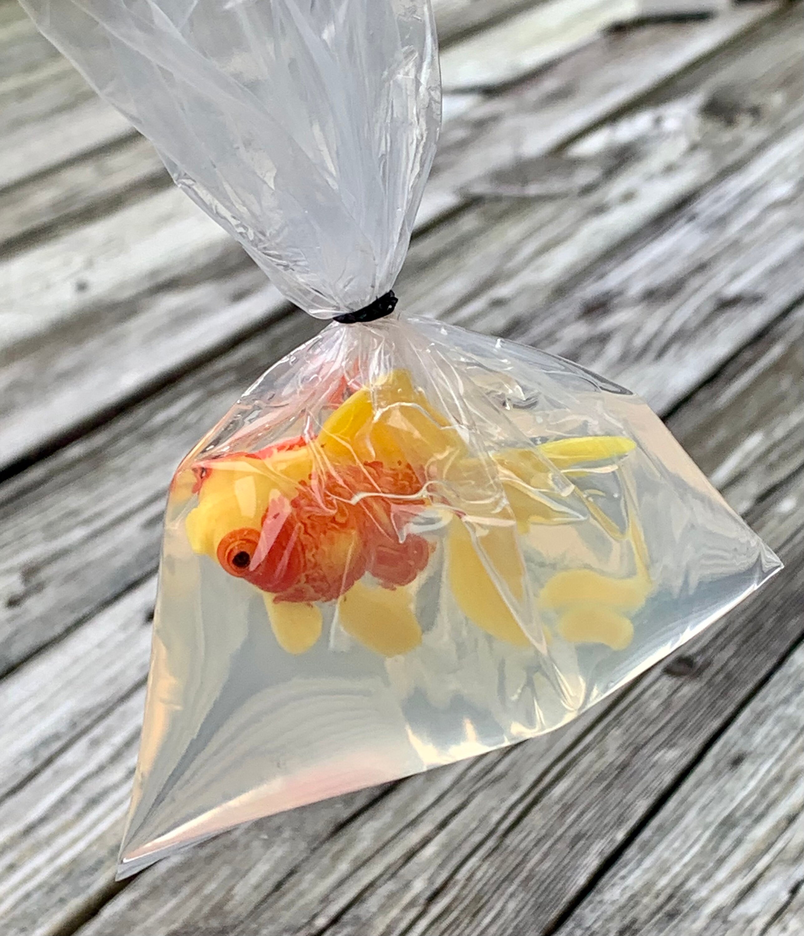 Goldfish In A Bag Soap