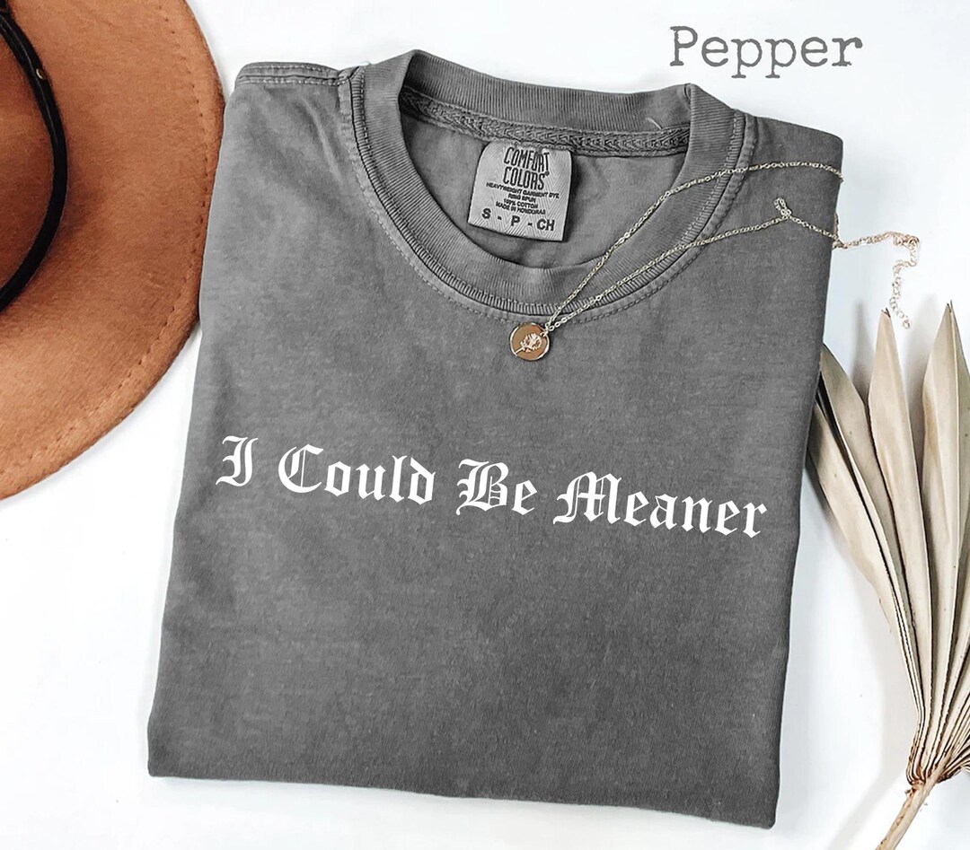 Comfort Colors® I Could Be Meaner Shirt, Funny Sarcastic, Funny Humor ...