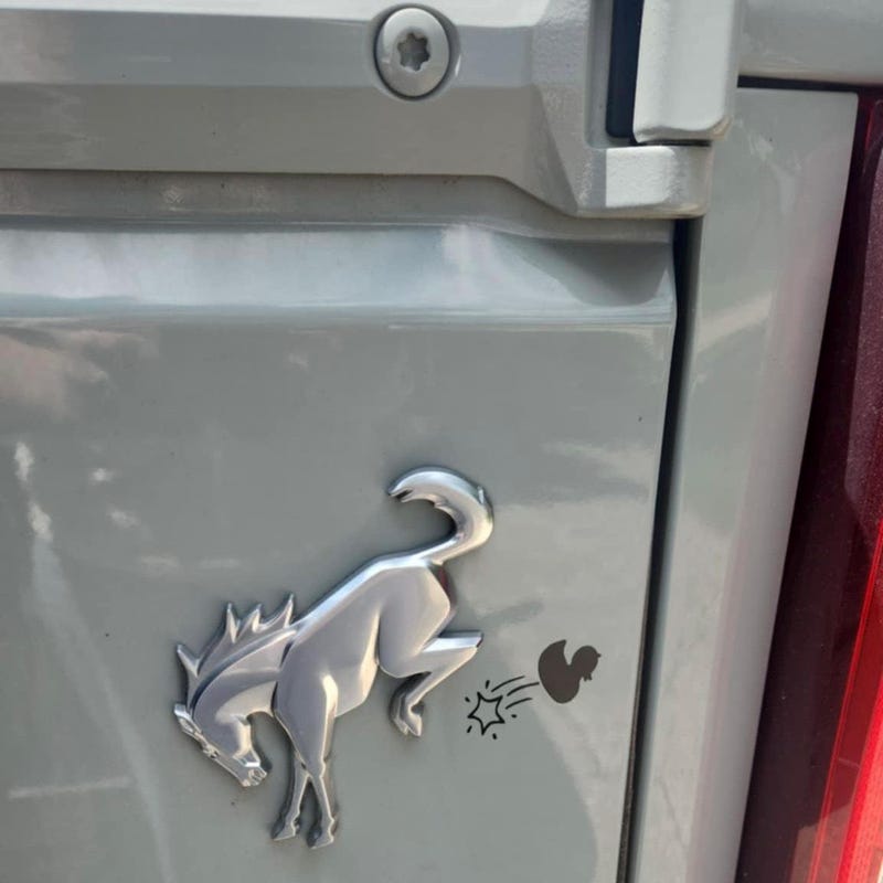 Bronco Kick Duck - Etsy