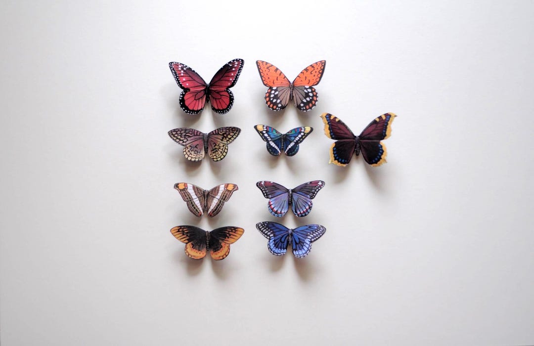 Butterfly Magnets Refrigerator Magnets Set of 9 - Etsy