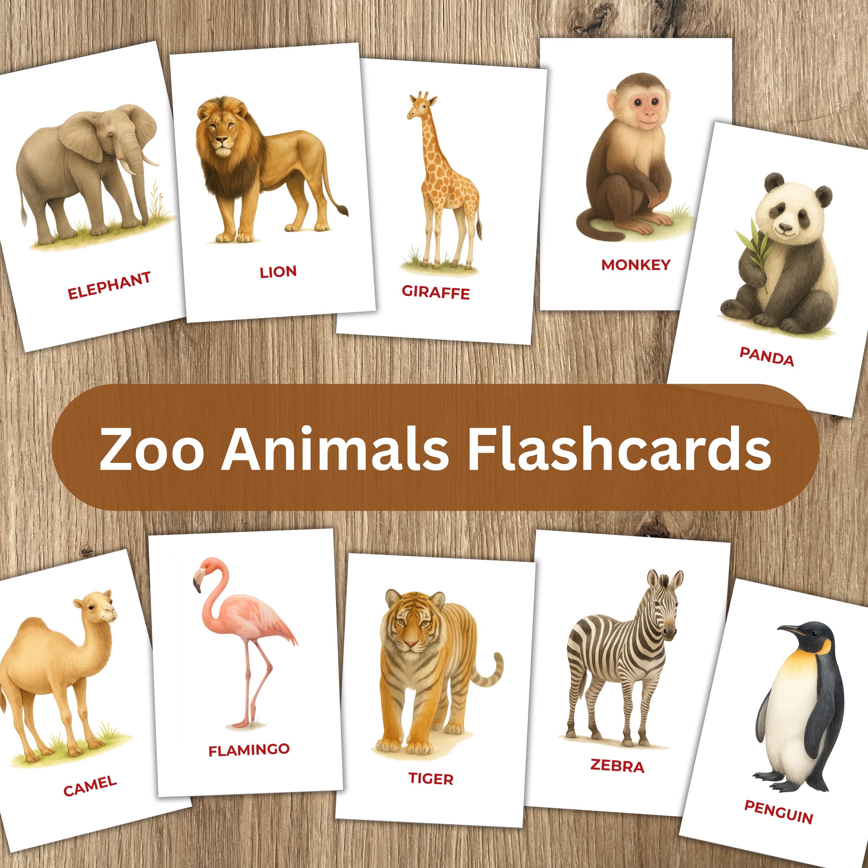 Zoo Animal Flashcards for Toddlers - Montessori-inspired Printable PDF ...