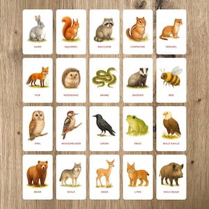 Forest Animal Flashcards for Toddlers - Printable Animals - Montessori ...
