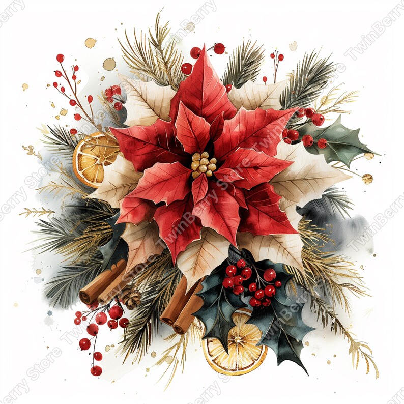 16 Poinsettia Decor Clipart, Elegant Bouquet JPG Bundle, Christmas ...