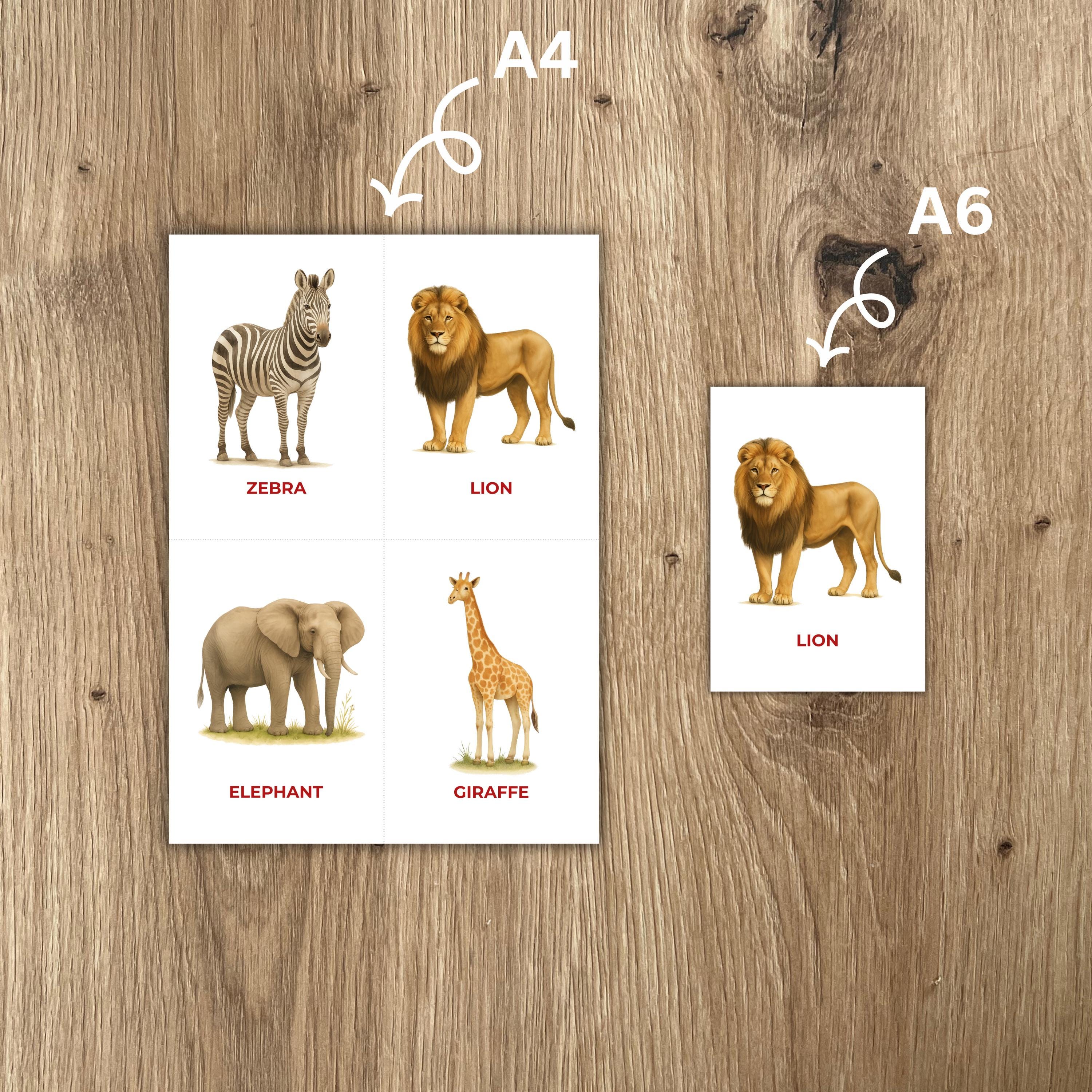 Zoo Animal Flashcards for Toddlers - Montessori-inspired Printable PDF ...