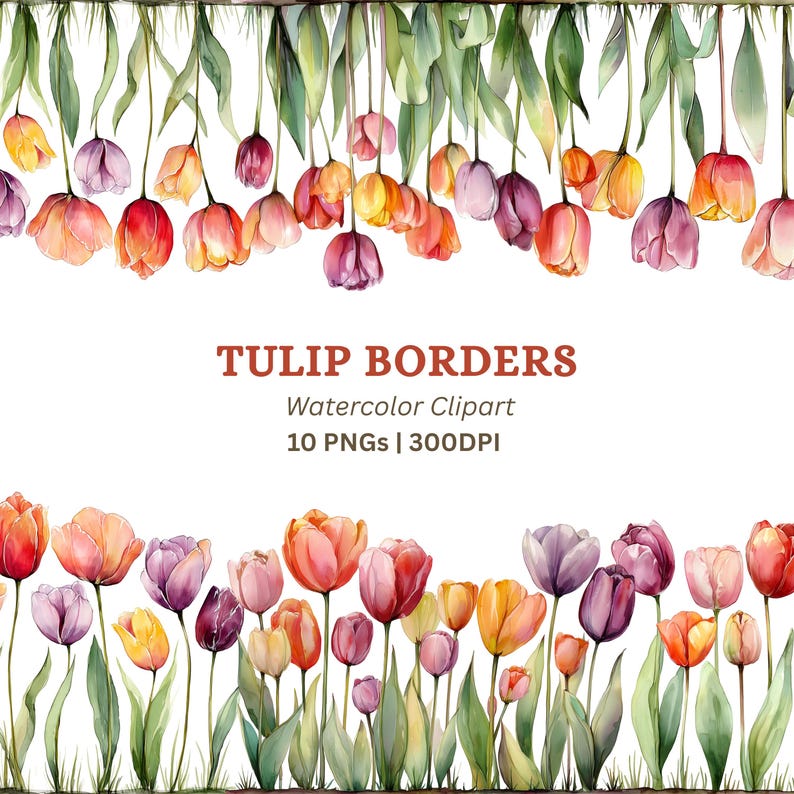 Tulip Border PNG, 10 Spring Watercolor Flower Garden Graphics Bundle - Etsy