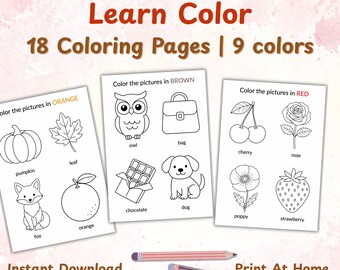 Learn Colors Worksheets Digital Download - Color Recognition Coloring ...