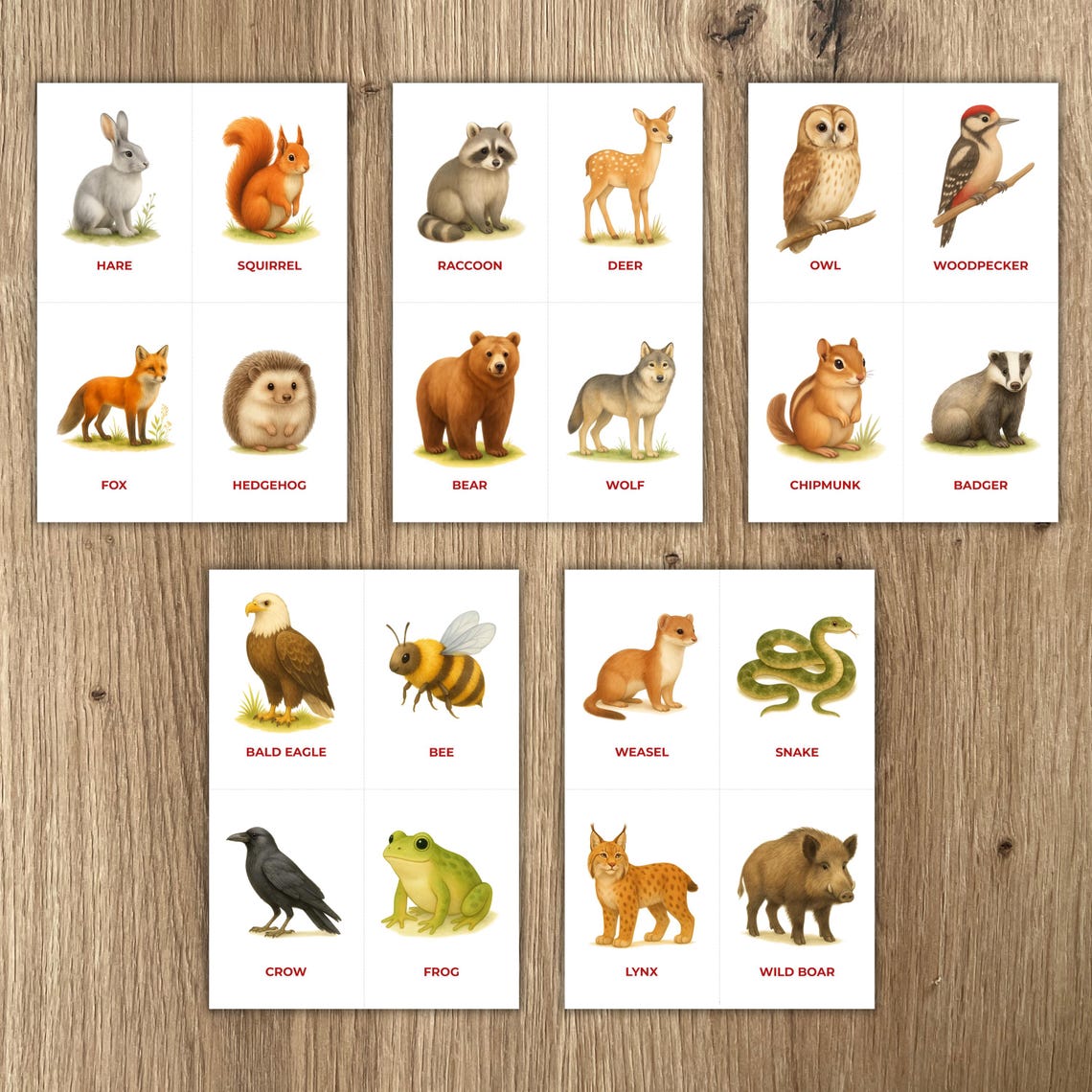 Forest Animal Flashcards for Toddlers - Printable Animals - Montessori ...