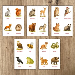 Forest Animal Flashcards for Toddlers - Printable Animals - Montessori ...