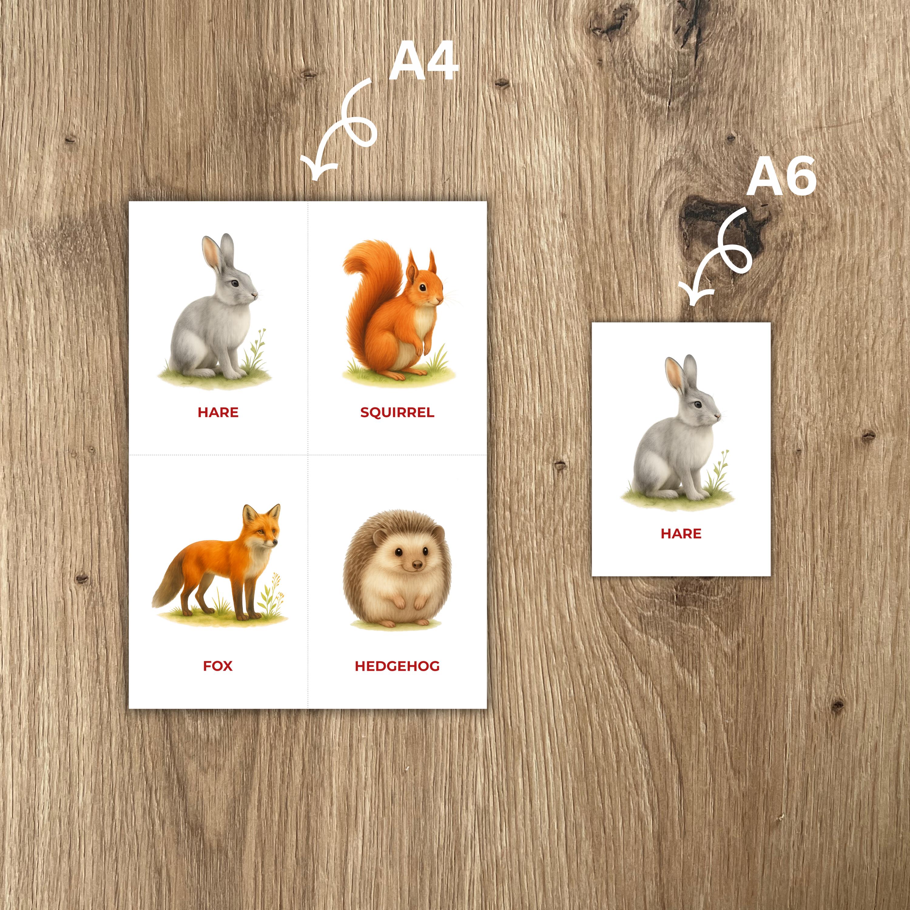 Forest Animal Flashcards for Toddlers - Printable Animals - Montessori ...