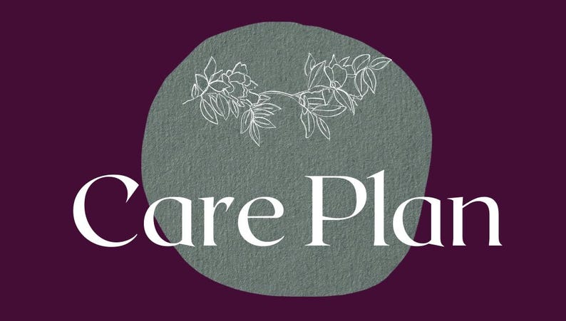Digital Care Plan | Fillable Safety Plan Alternative | Therapist ...