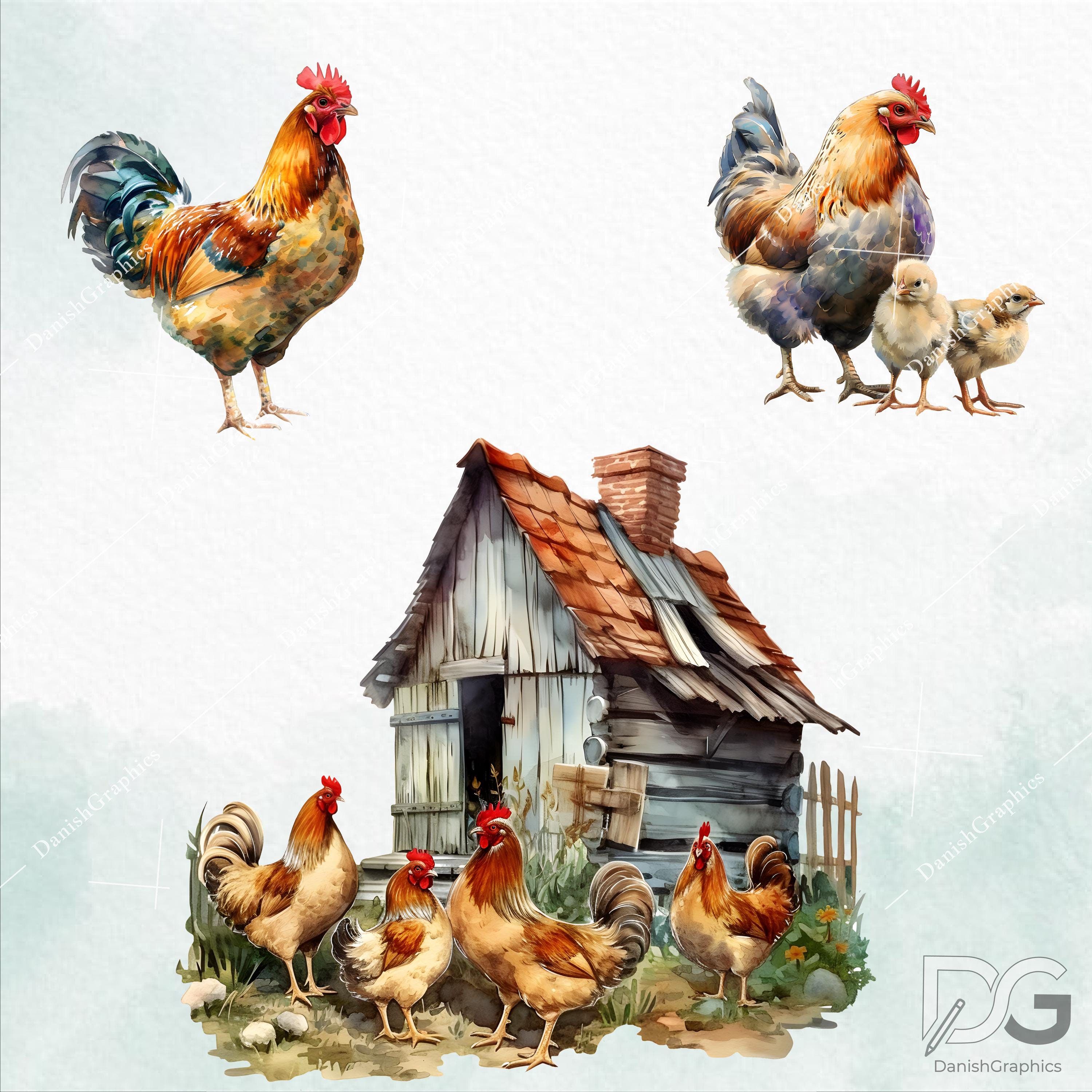 Chicken Farm Watercolor Clipart, Farm Animal PNG Images, Country Art ...