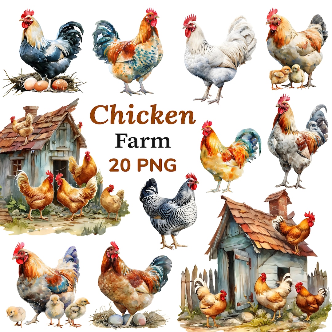 Chicken Farm Watercolor Clipart, Farm Animal PNG Images, Country Art ...