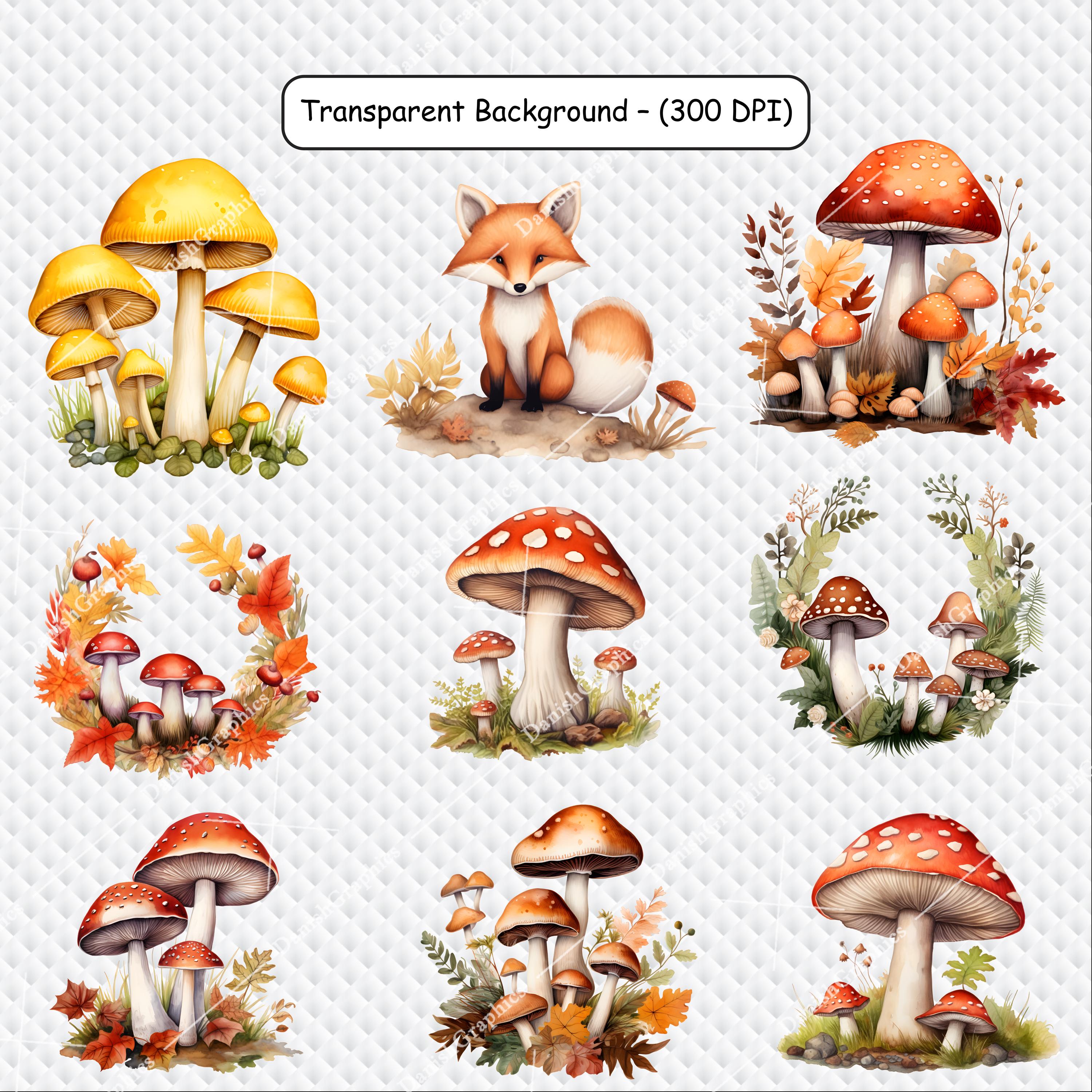 Watercolor Autumn Mushroom Clipart Bundle: Woodland Animals, Fall ...