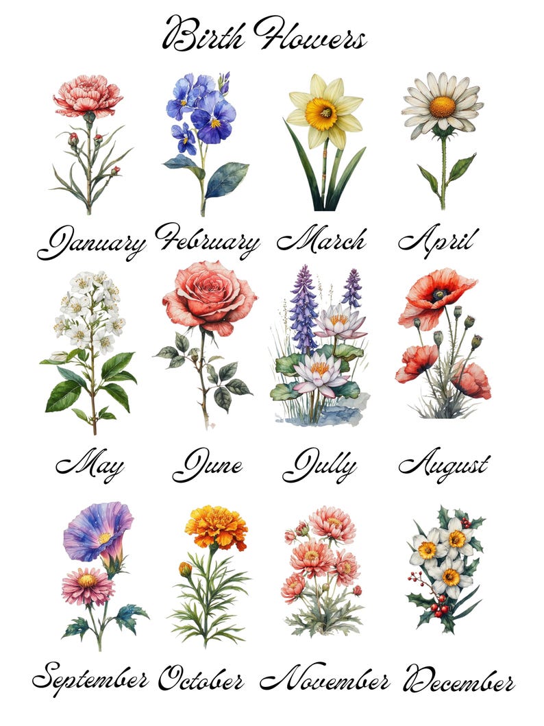 Watercolour Birth Month Flowers Chart, Botanical Floral Calendar Wall ...