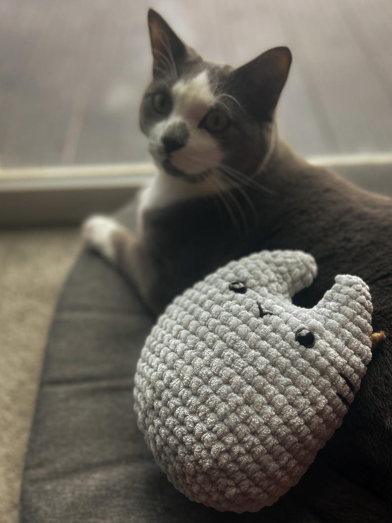 Hand-crocheted Chubby Cat Plush | Soft Yarn Amigurumi Kitty Decor - Etsy