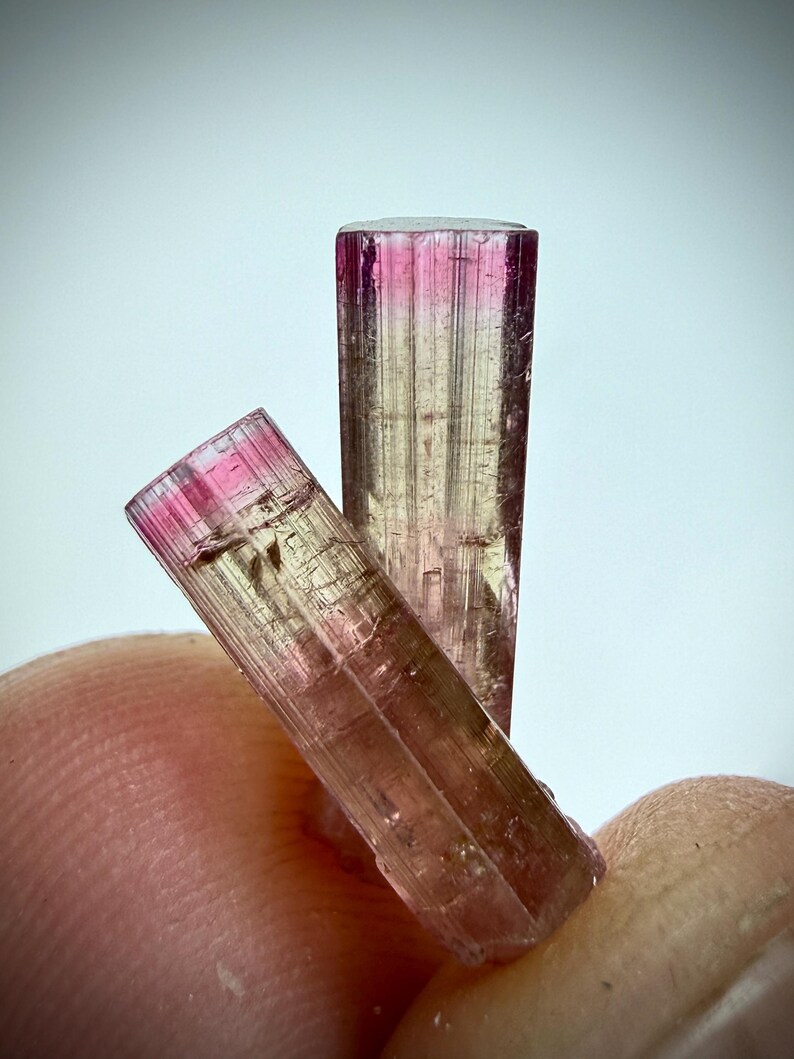 Twin Tourmaline Crystals - Rare Color Combination - Pink Cap Tourmaline ...