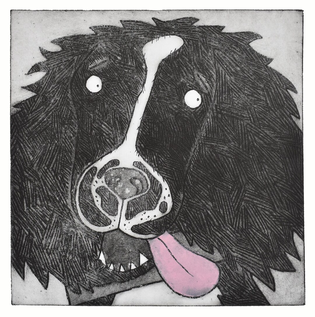 Fetch Springer Spaniel, Springer Spaniel Art, Springer Spaniel Print ...