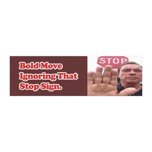 Funny Arnold Schwarzenegger Stop Sign Car Magnet & Sticker, Humorous ...