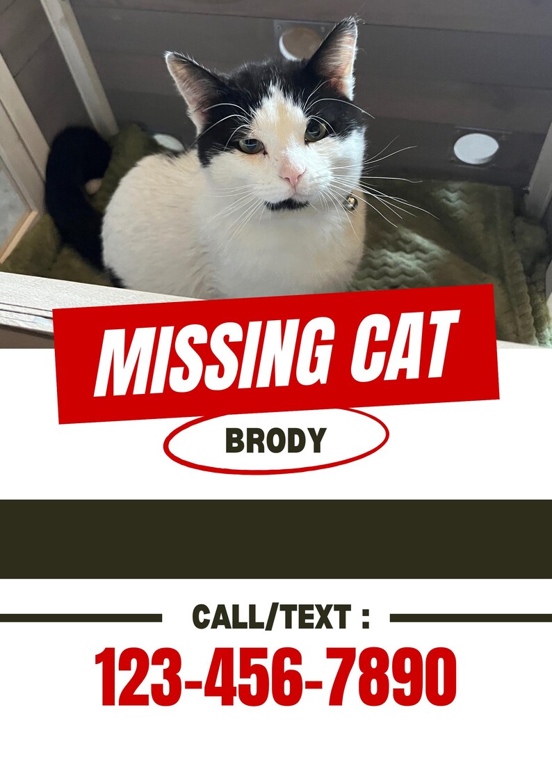 Missing Cat Sign - Editable Digital Canva Template - Etsy